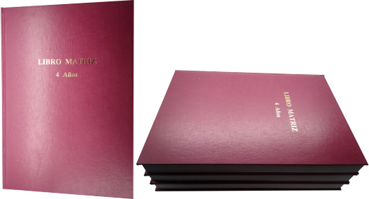 Libro de Datos | Colegios