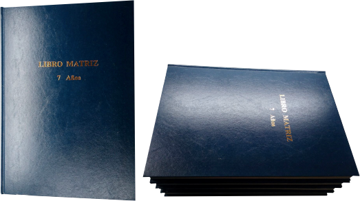 Libro de Datos | Colegios